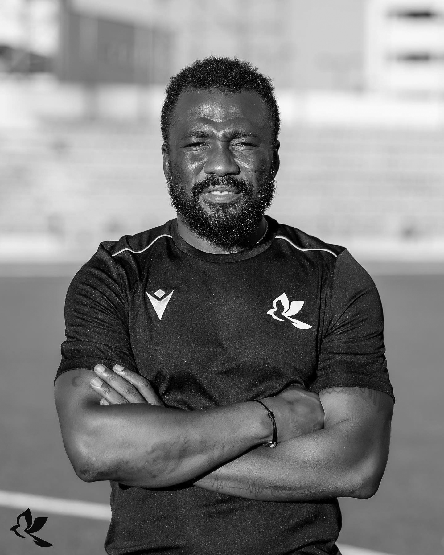 Brunos Magpies have announced Chestertons as their lead sponsor along ...