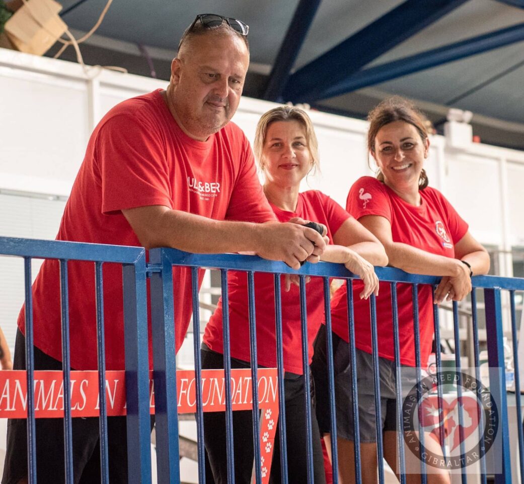 Charity swim raises £5,000 for Animals in Need Foundation