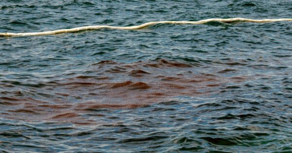 A wider perspective on marine pollution