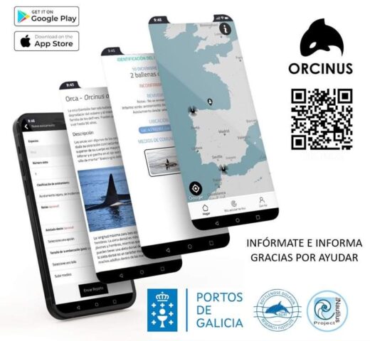 Nautilus Project launches orca location app for safer navigation