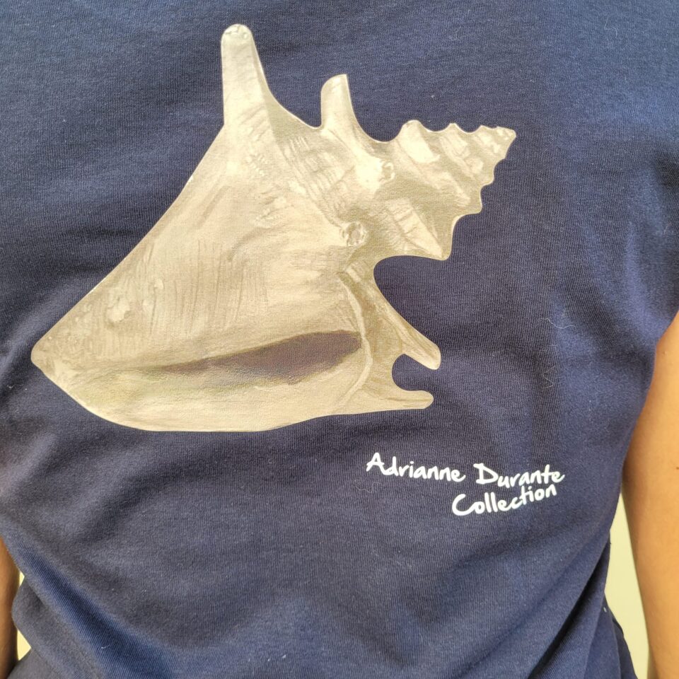 Mollusc-inspired collection launched in support of The Nautilus Project