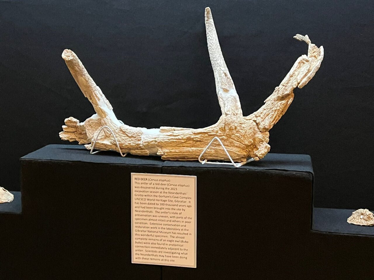 New exhibits at Gibraltar National Museum