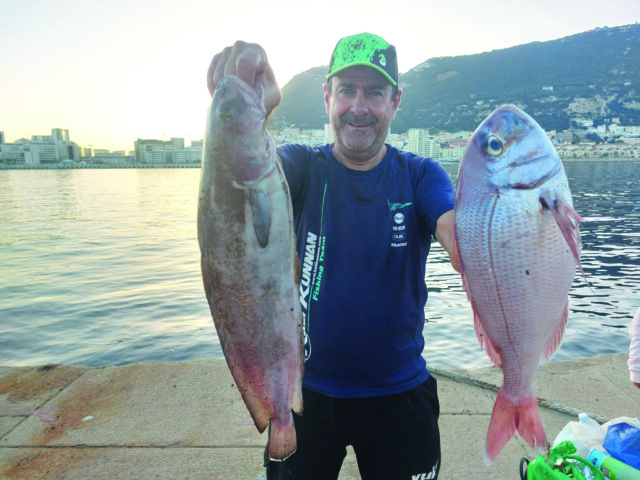Gibraltar Fishing Club held their two night conger and white bream ...