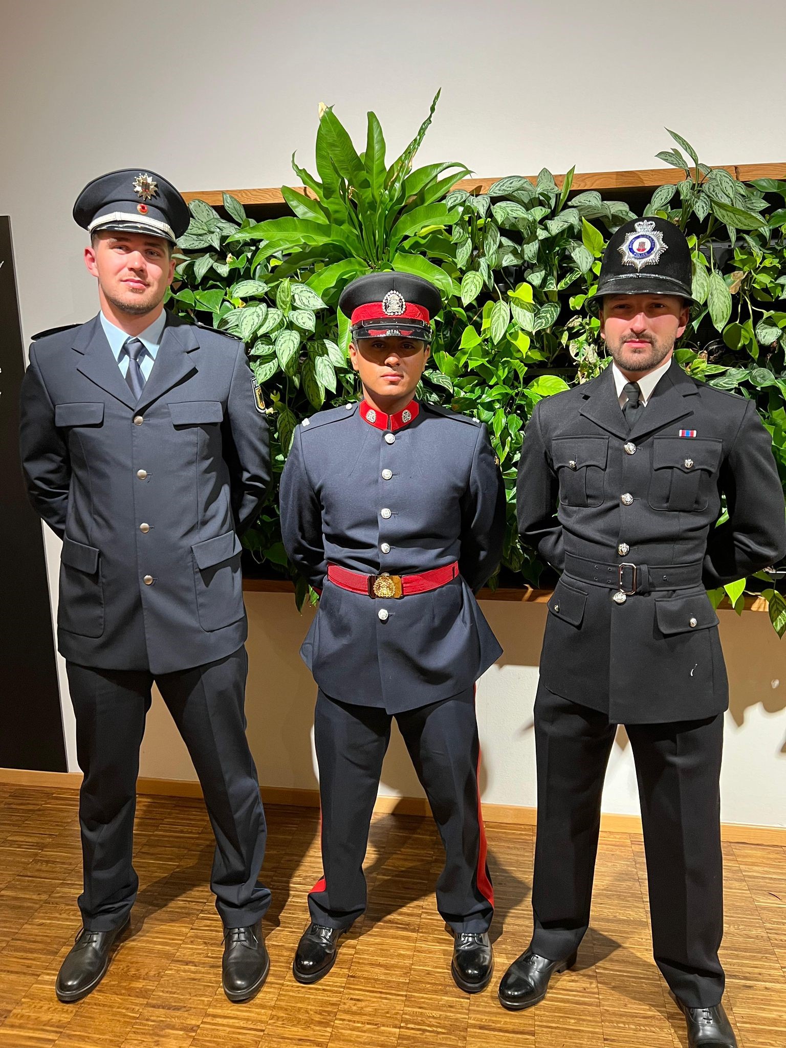 Representing the RGP in Vienna