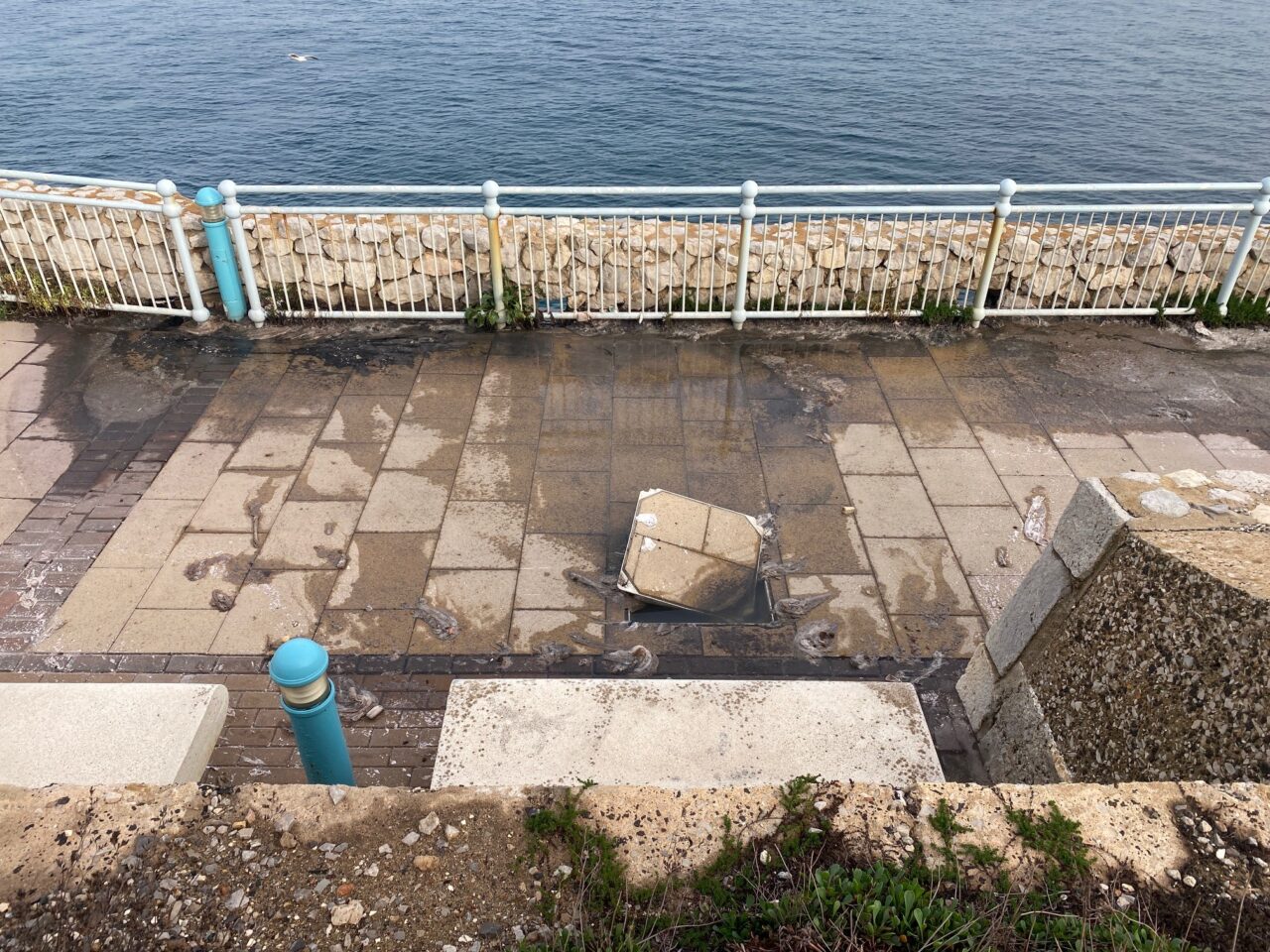 Public to avoid Mid Harbour swimming and refrain from flushing wipes ...