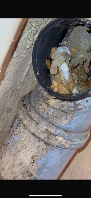 Stop the Pipe Monster campaign urges tenants to help prevent drain ...