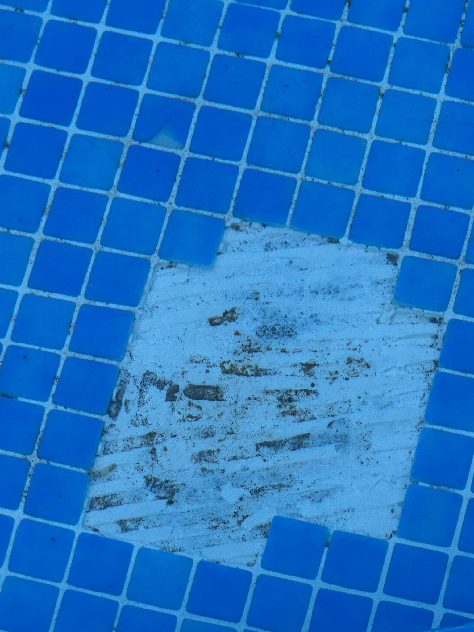 Small pools at Camp Bay and Little Bay temporarily closed following ...