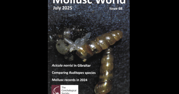Rare Gibraltar snail discovery makes international magazine cover