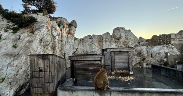 Gibraltar Tourist Board earns first nomination at Travel Weekly Globe ...