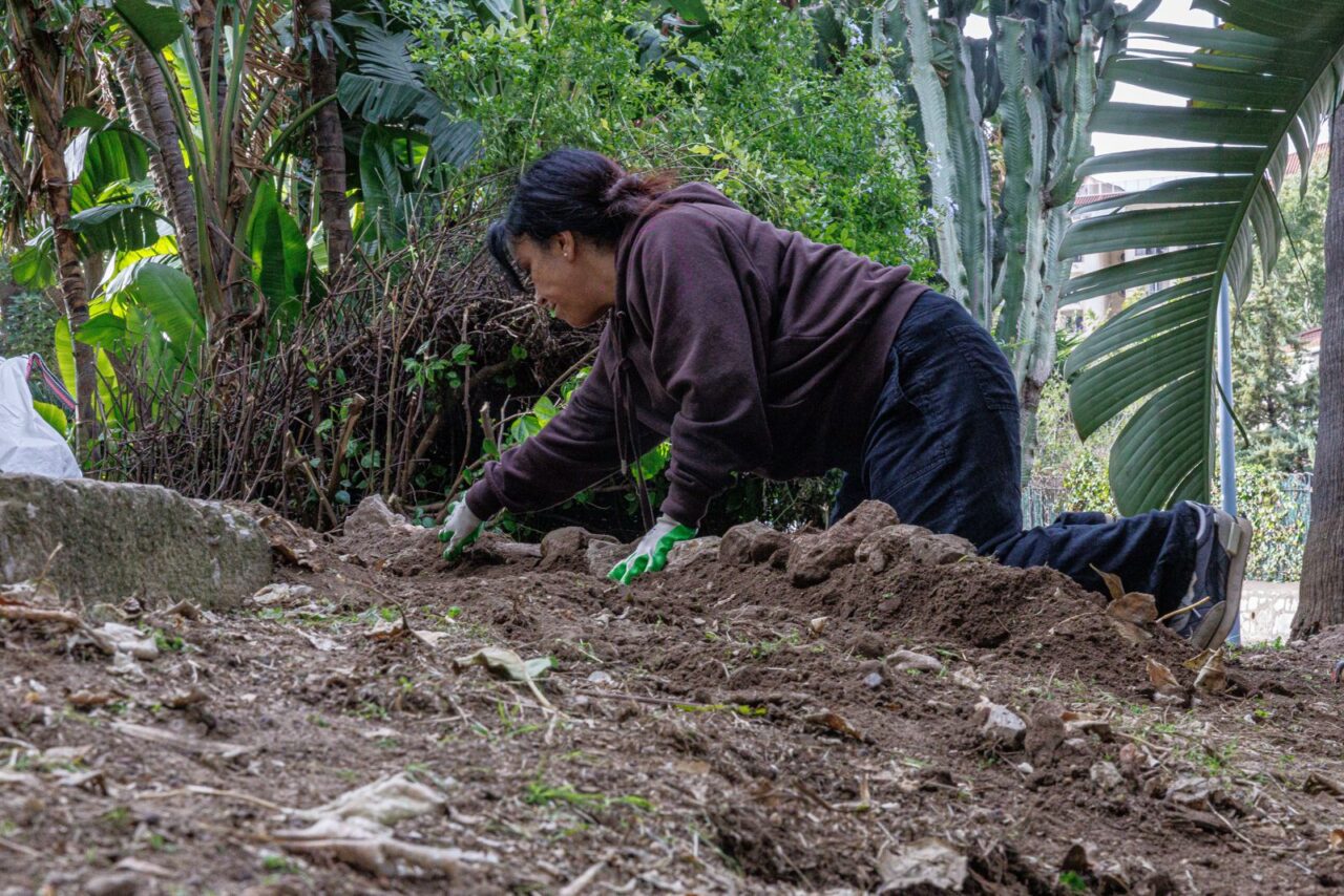 Mini forest initiative set to transform urban green spaces in Gibraltar