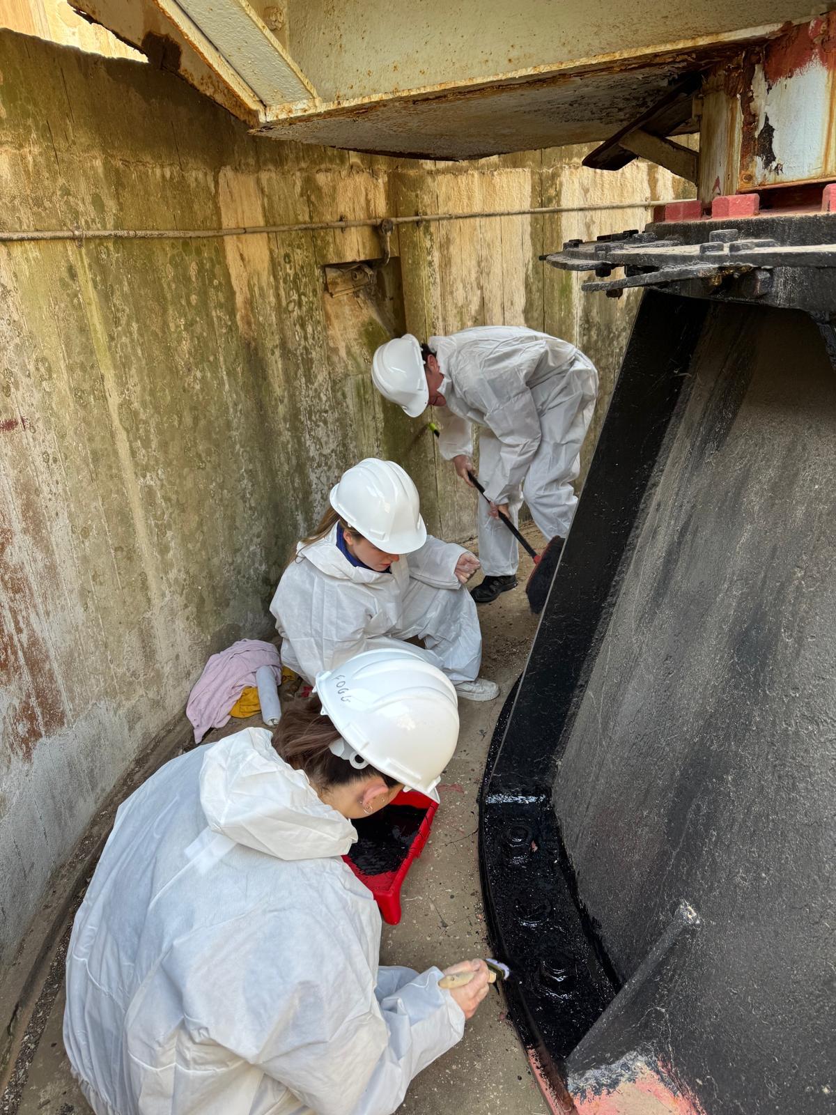 URNU cadets support conservation work at Princess Anne’s Battery