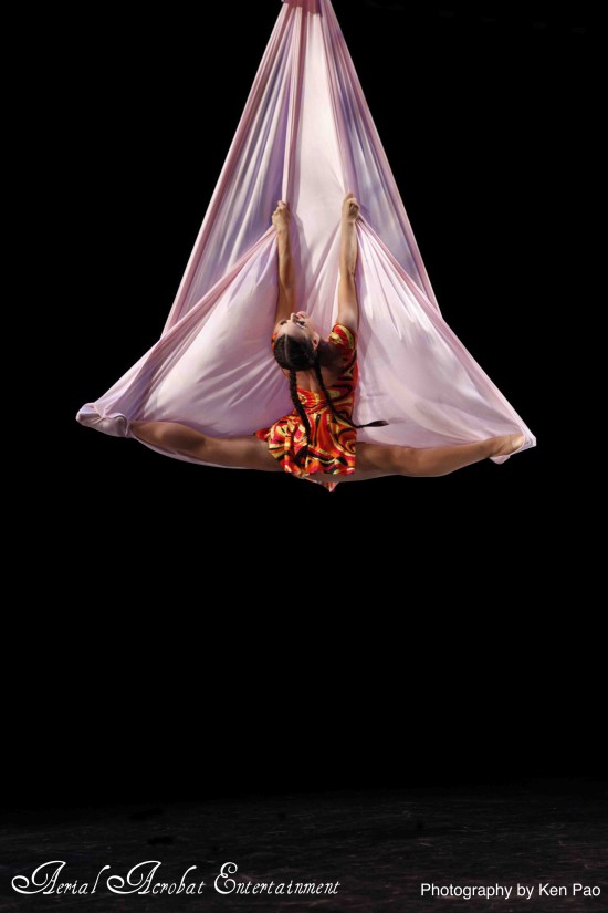 Aerial Acrobat Entertainment - Aerialist in New York City, New York