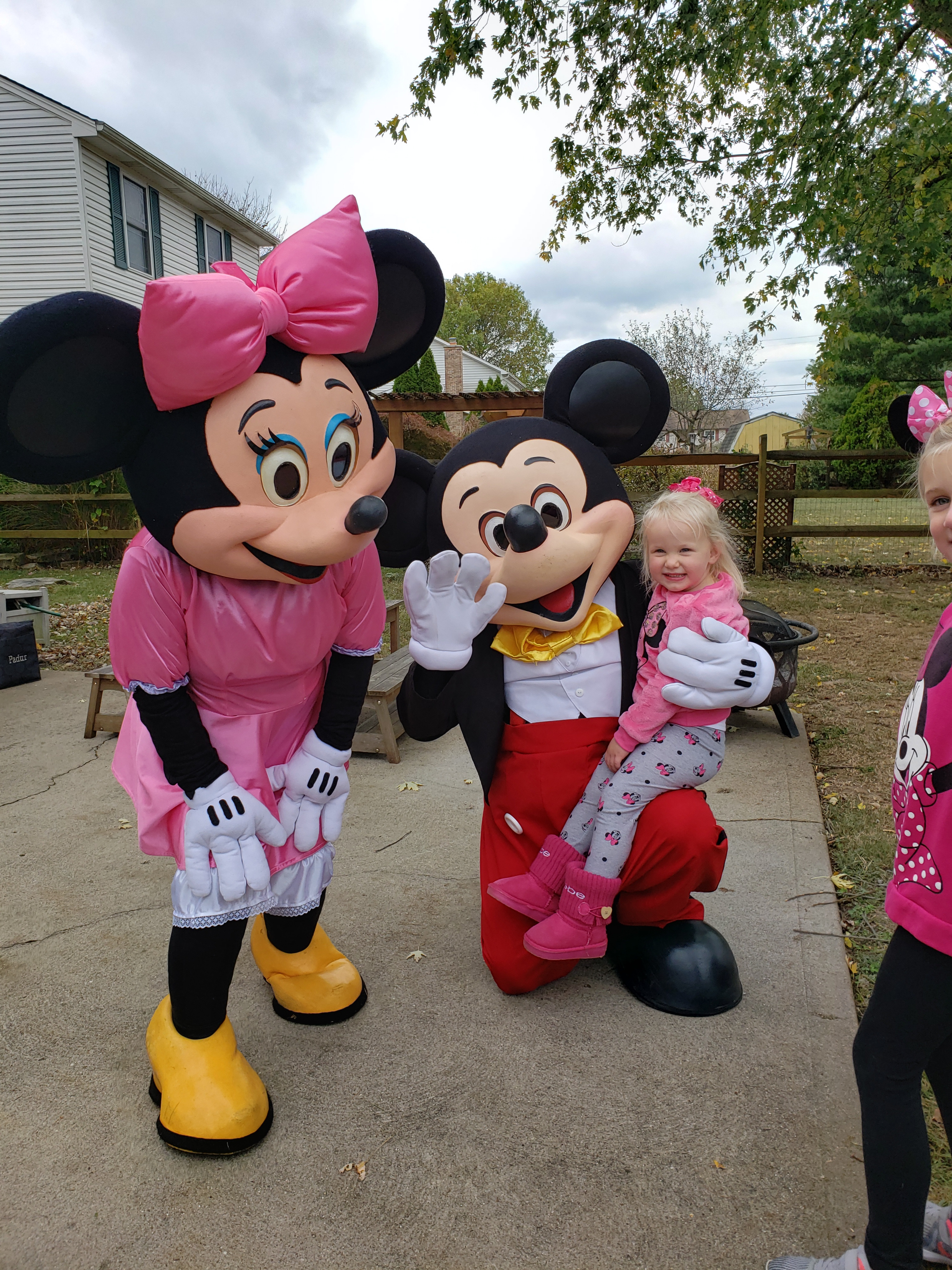 Hire Ohio Turtle Fan - Costumed Character in Columbus, Ohio