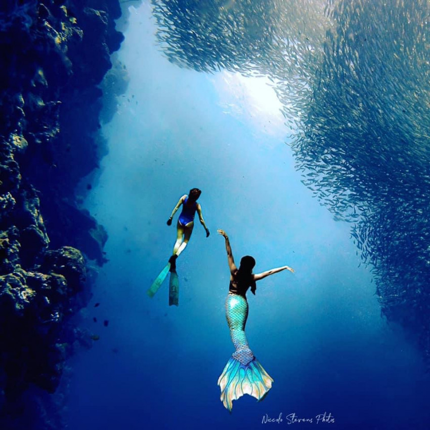 Hire Mermaid Performances & Courses - Mermaid Entertainment in Las ...