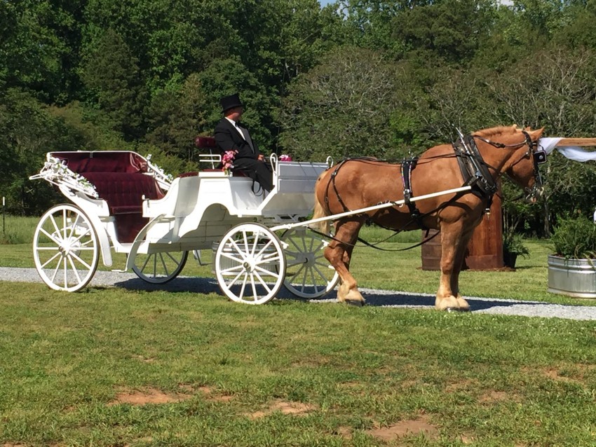 Hire Carriage Run Carriage Service - Horse Drawn Carriage in Lawndale ...