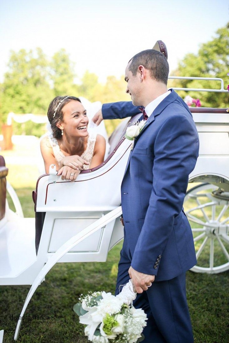 Hire Carriage Run Carriage Service - Horse Drawn Carriage in Lawndale ...