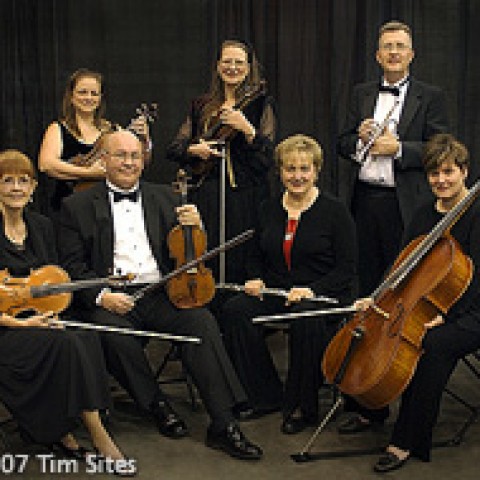 Hire Chamber Music Unlimited/Bands and More - String Quartet in Houston ...
