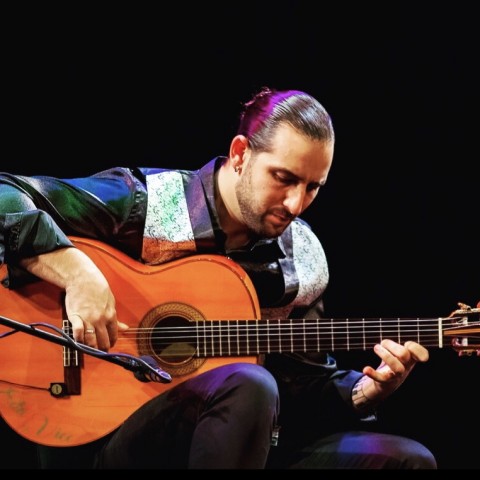 Hire Flamenco & Spanish Guitar - Guitarist in Dallas, Texas