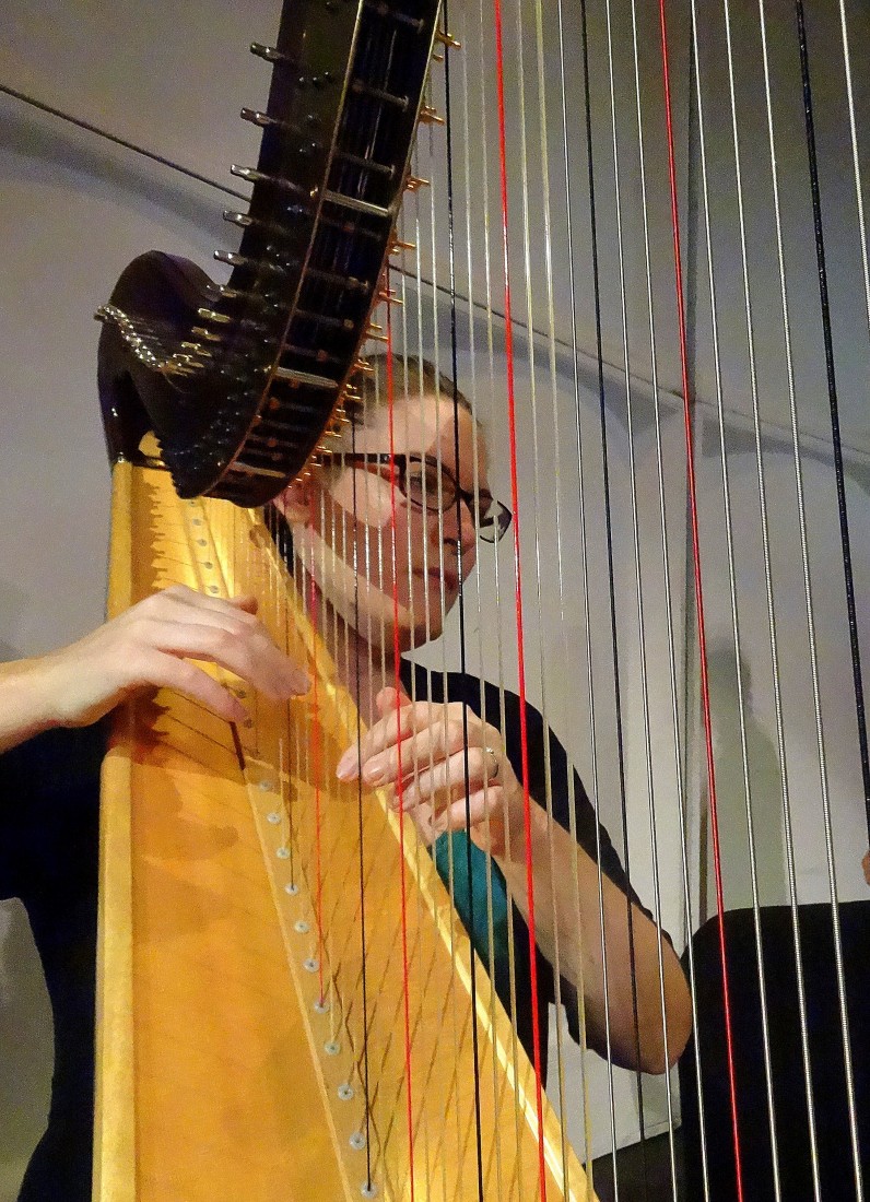 Hire Harpist Alyson Webber - Harpist in Gainesville, Georgia