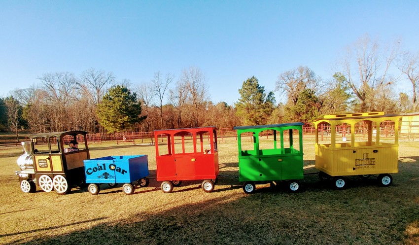 Hire Carolina Fun Factory - Children’s Party Entertainment in ...