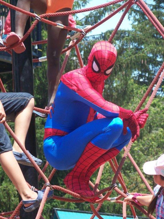 Hire Spider-Man - Stunt Performer in Toronto, Ontario