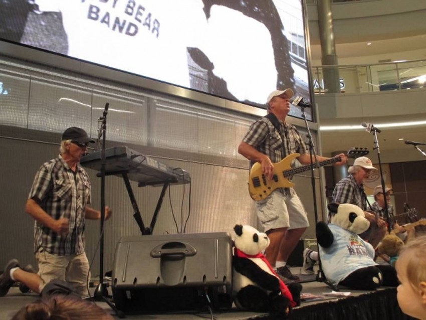 Hire Teddy Bear Band - Children’s Music in Minneapolis, Minnesota