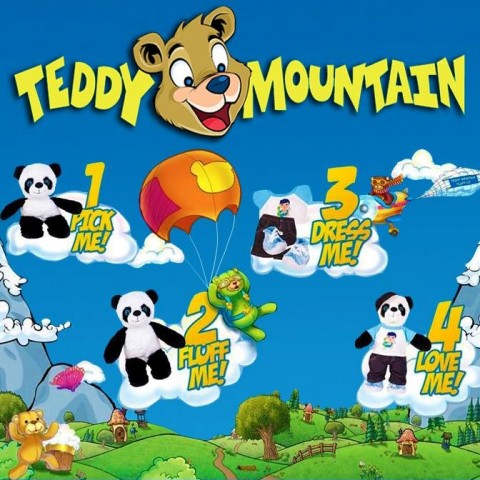 Hire Teddy Mountain Workshop Build a Teddy Bear - Arts & Crafts Party ...