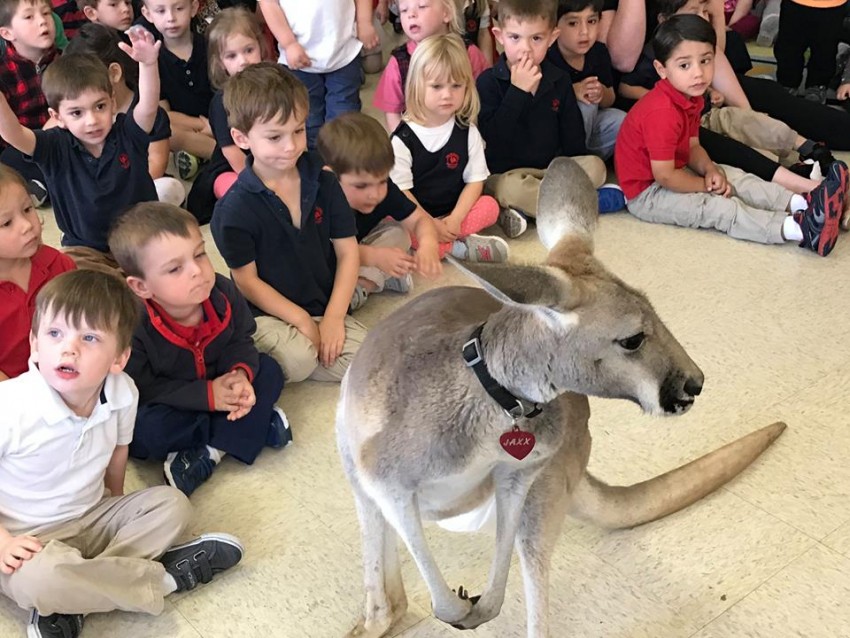 Hire The Creature Teacher - Animal Entertainment in Dallas, Texas