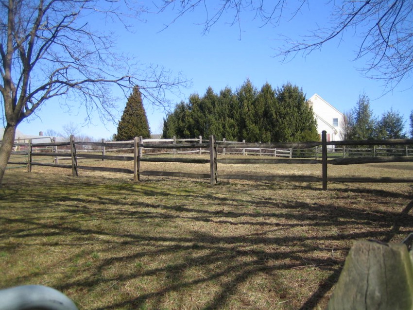 Hire Winding Brook Farm - Pony Party in Flemington, New Jersey