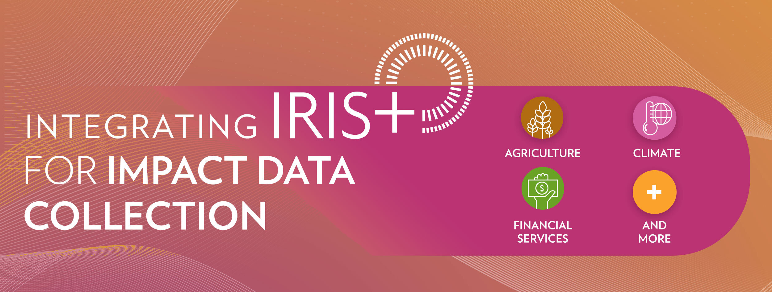 Data Platform Providers | IRIS+