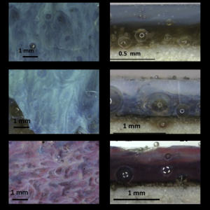 Coloring Mechanisms of Jun Glazes | Glazy