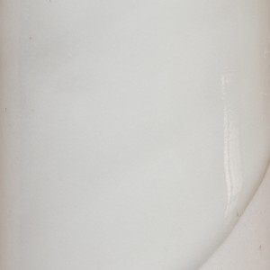 Shiny White | Glazy