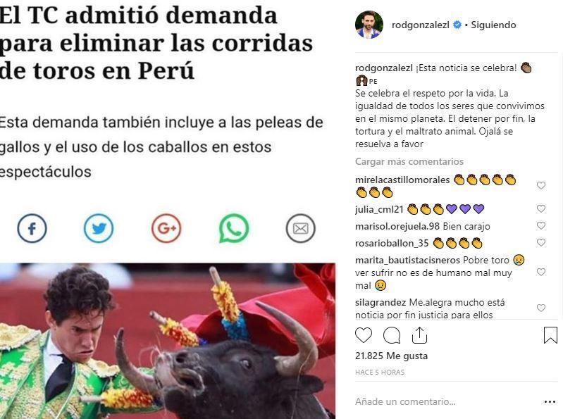 Peluchín celebra que se haya aceptado demanda para eliminar corridas de ...