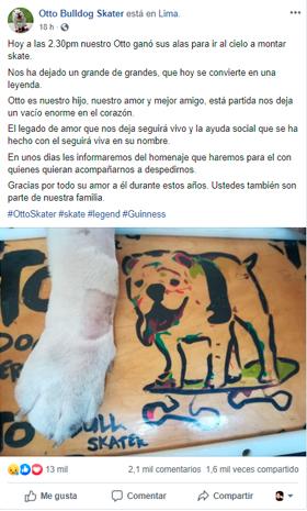 Murió Otto, el bulldog peruano que batió Récord Guinness al recorrer la ...