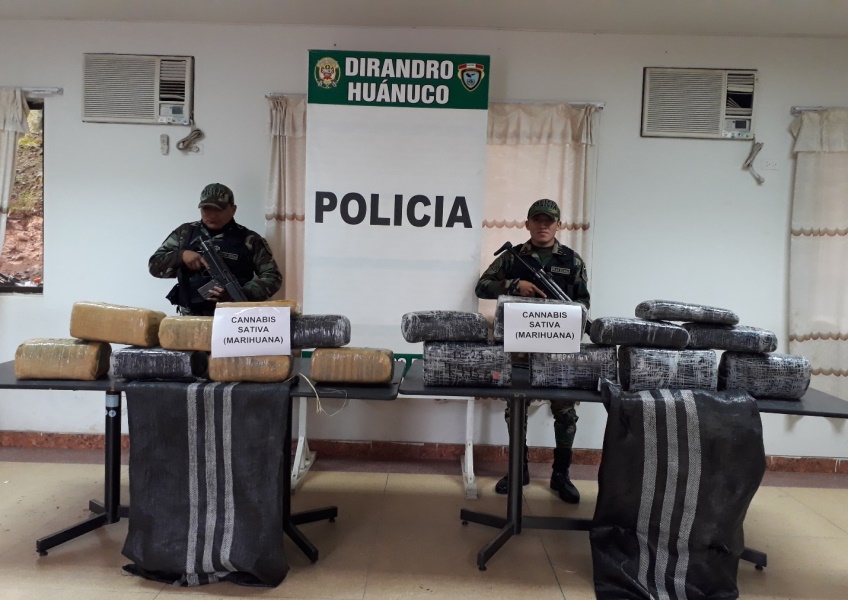Pnp Incautó Más De 100 Kilos De Marihuana En Huánuco Sociedad La