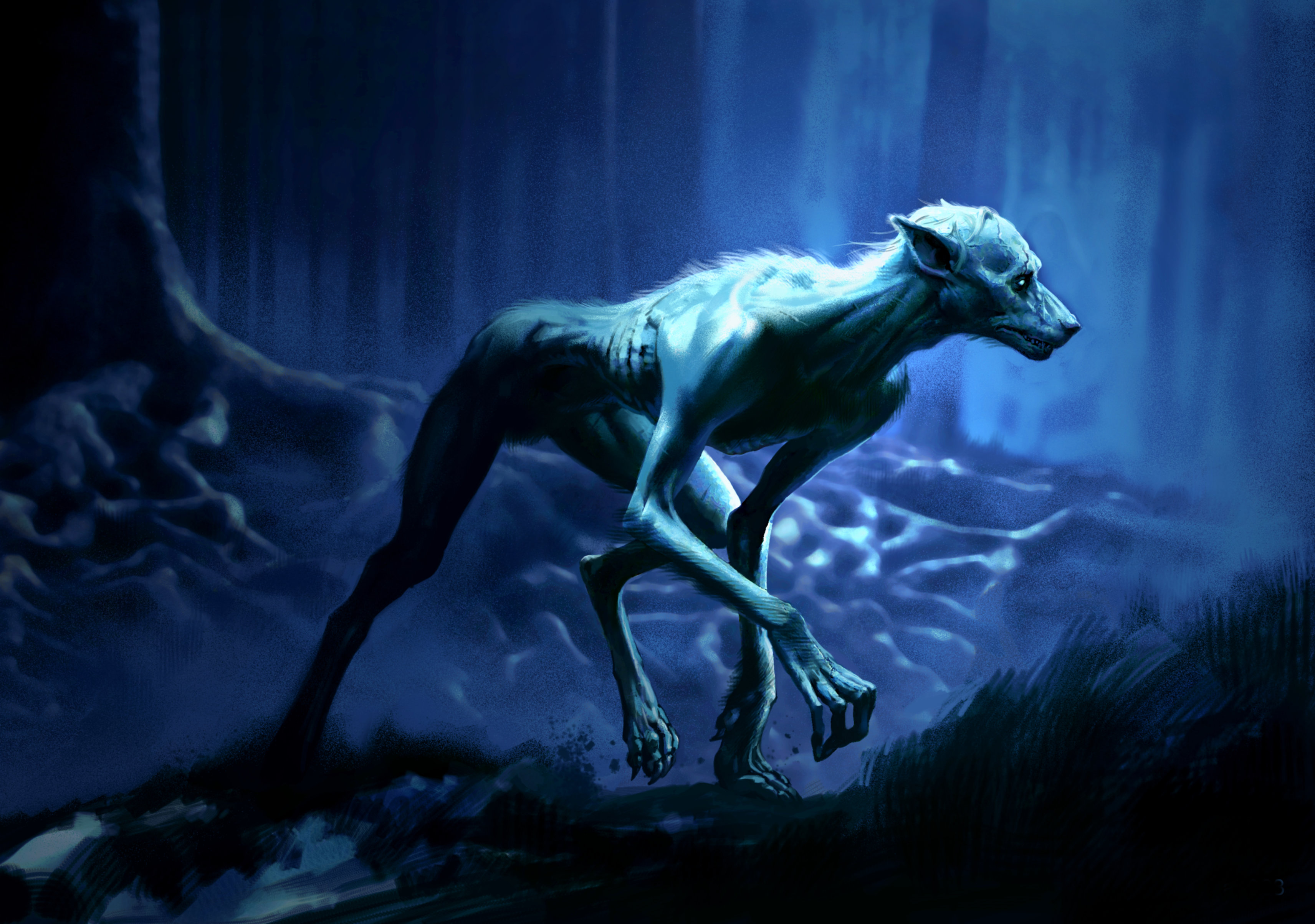 Facebook Viral: Descubren el secreto del 'chupacabras' captado en ...