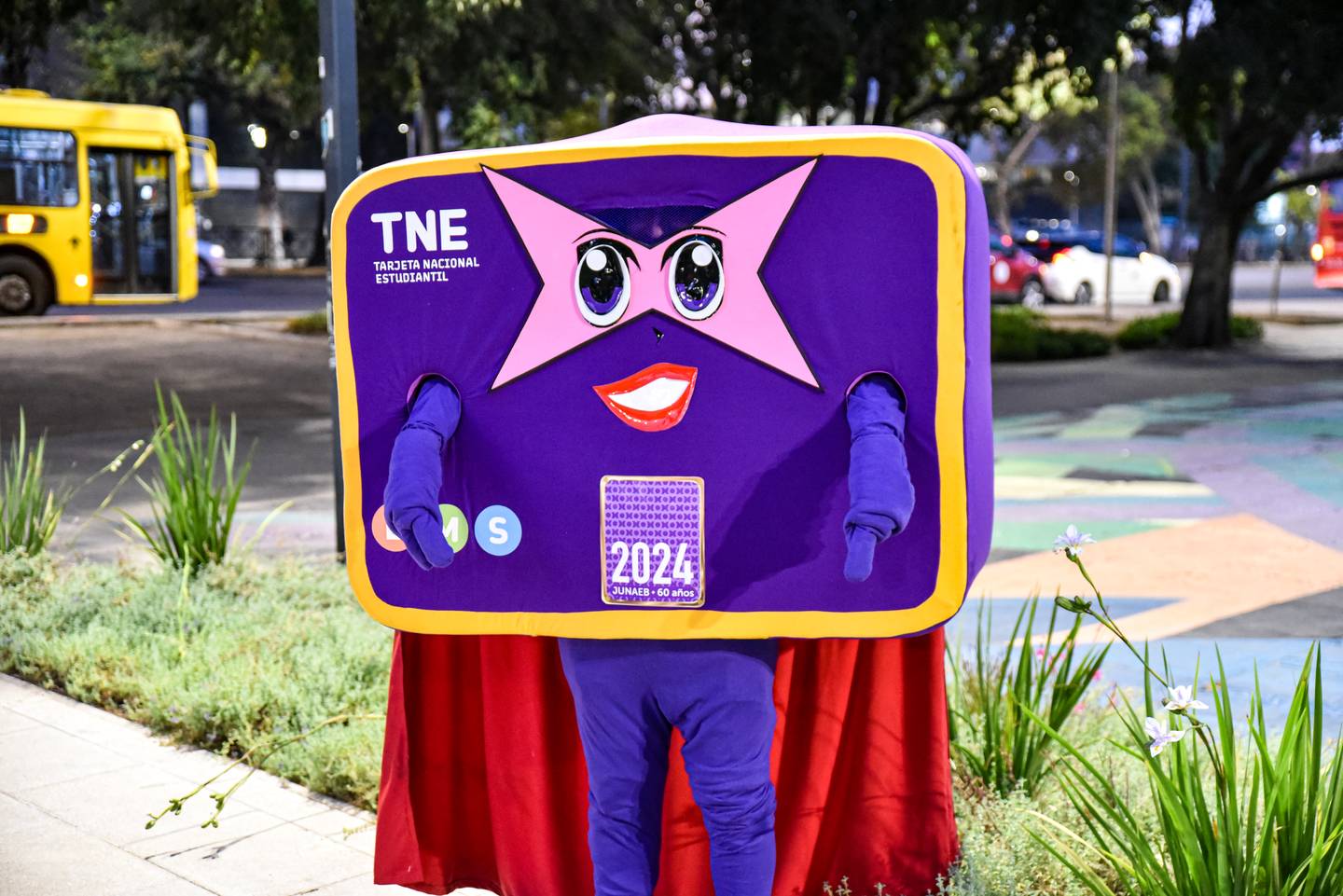 Paso a paso para sacarte la foto de la TNE con tu celu - Gob.cl