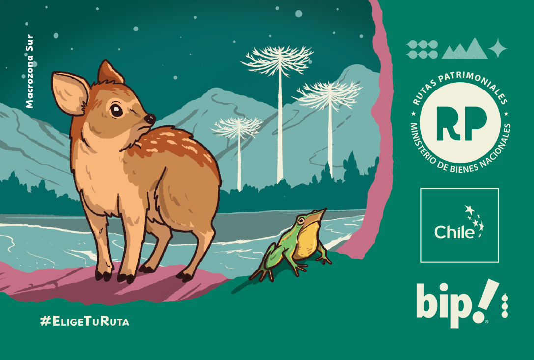 Conoce cómo obtener las nuevas tarjetas Bip! de Rutas Patrimoniales - Gob.cl