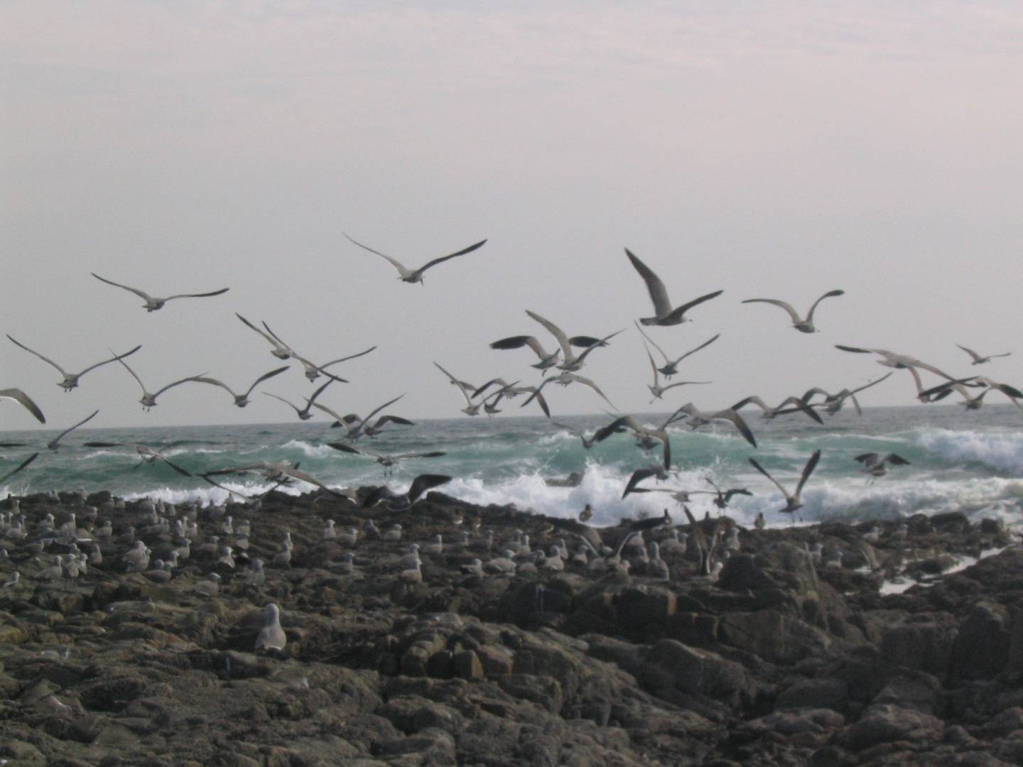 Chile cuenta con nuevo Santuario de la Naturaleza en el norte grande ...