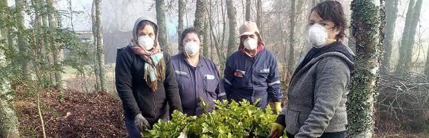 CONAF aportará 80 mil empleos a la reactivación económica del país - Gob.cl