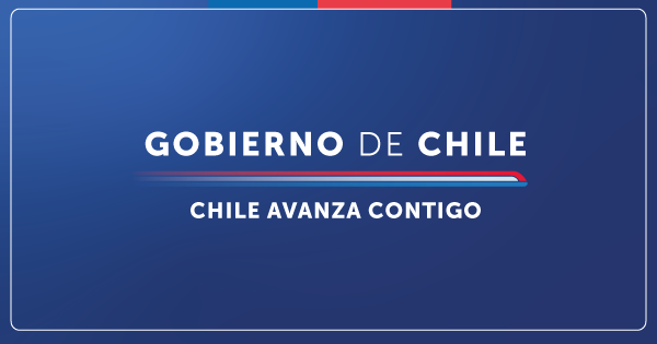 Gobierno De Chile Logo
