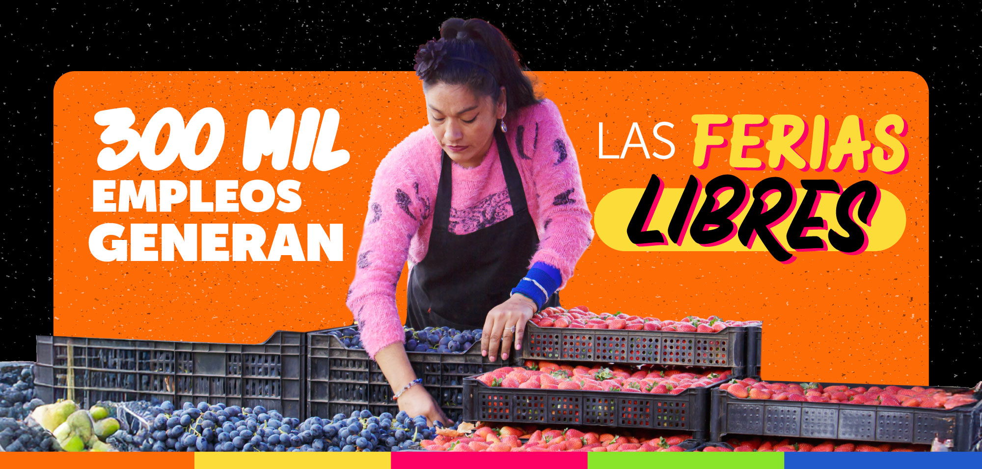 Ley Ferias Libres - Gob.cl