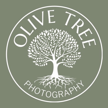 Olive Tree Photography | Book Your Appointment Online Now