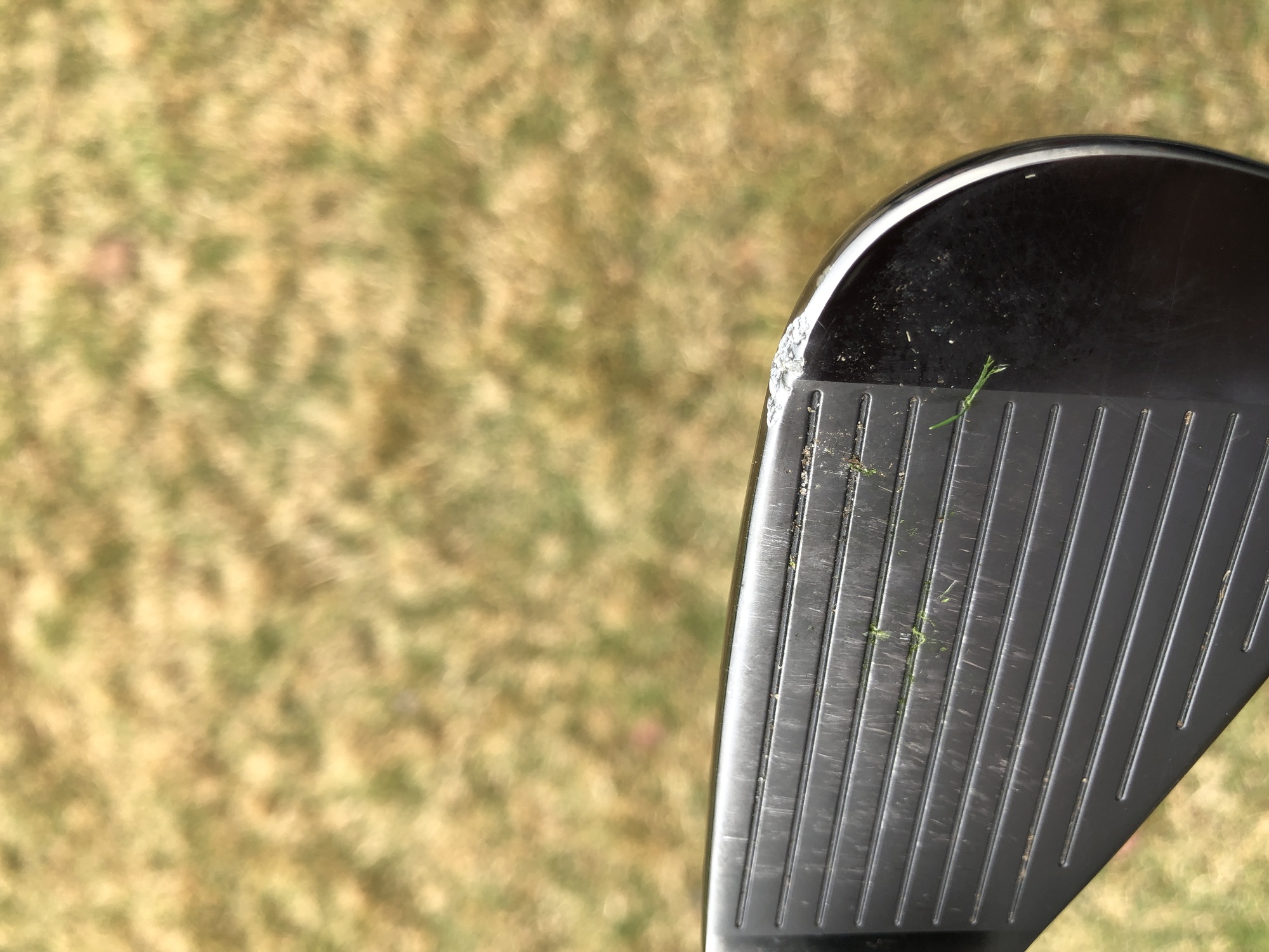 Apex 19 Smoke rock gouge - WRX Club Techs - GolfWRX