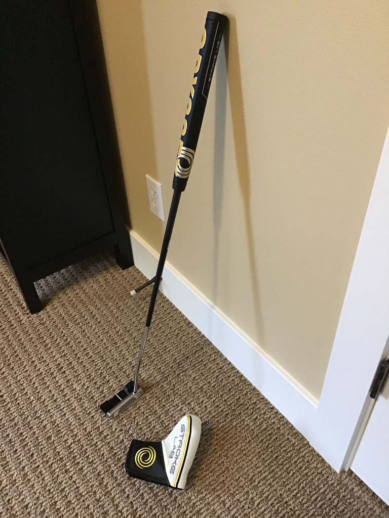 Anyone using Odyssey Stroke Lab Double Wide Flow - Putters - GolfWRX
