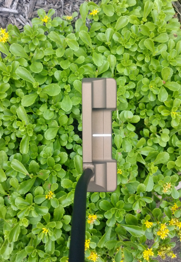 Snapped Scotty's Neck - Putters - GolfWRX