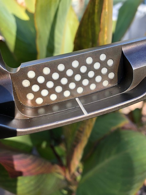 Scotty Cameron Santa Fe CT, Bastain, Gene Nead Putters - For Sale ...