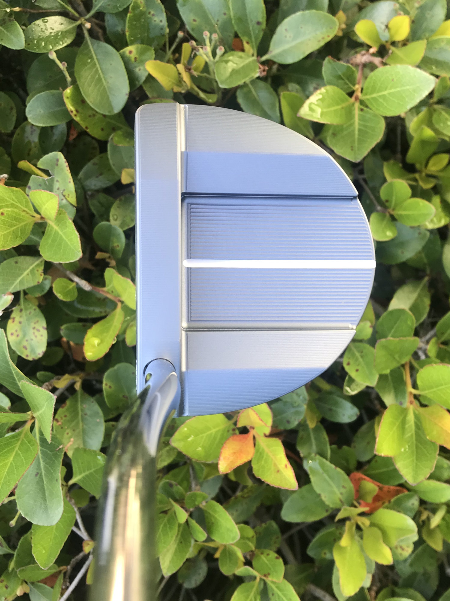 **One Last Price Drop** Ping Vault Oslo Putter - For Sale Archive-For ...