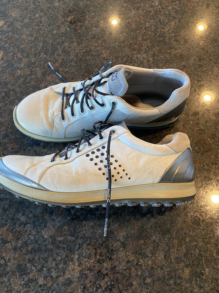 Brand new Bettinardi Queen Bee 6 Slant / Fat Cat Betti cover and towel ...