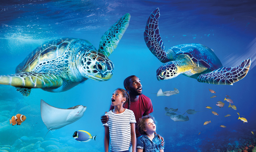 Rule 5 wins Merlin Entertainments brief - Gorkana